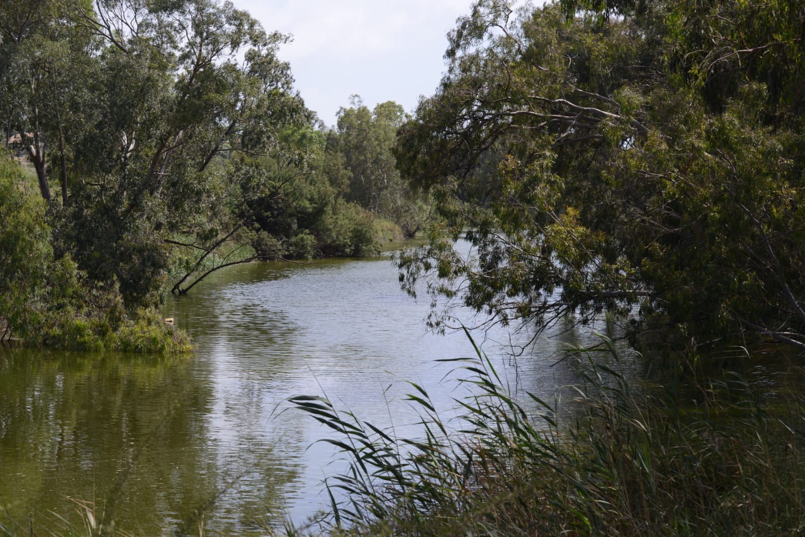 Alexander river & the turtles bridge | Xanado Israel