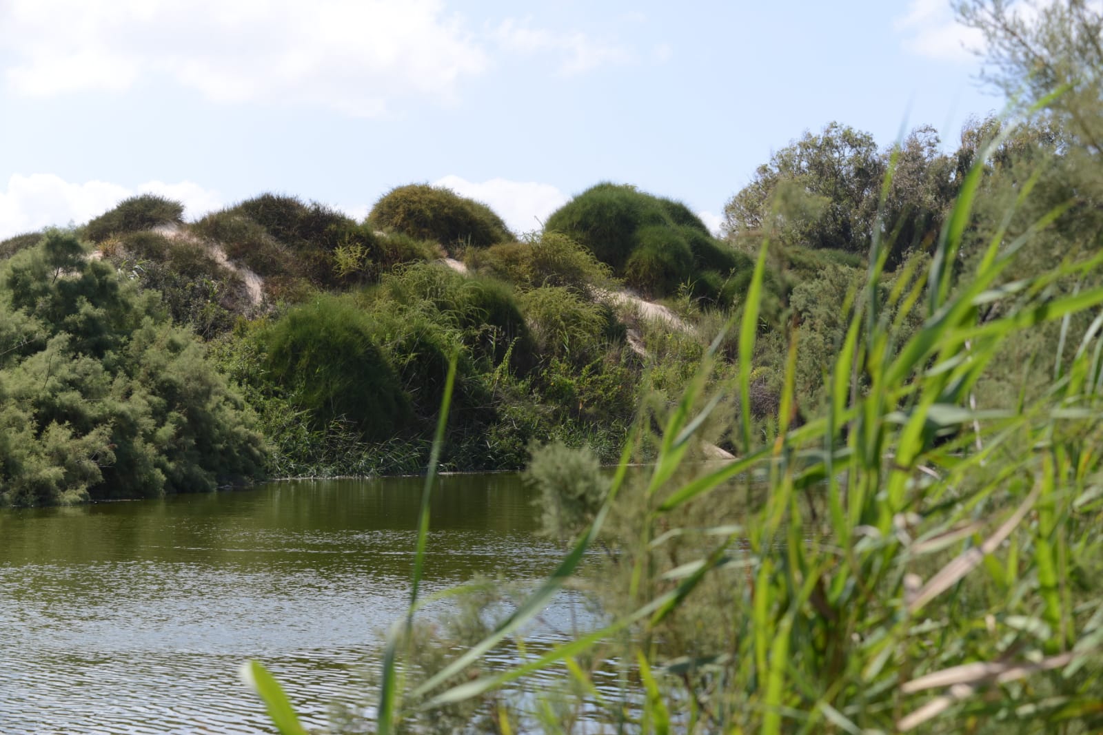 Alexander river & the turtles bridge | Xanado Israel
